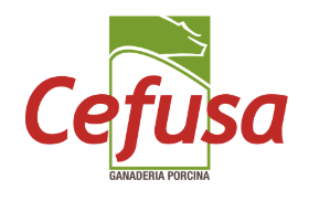 The pork market - Spain | Businesscoot